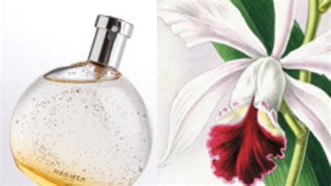 Sex On A Stem Lifestyle News Nz Herald