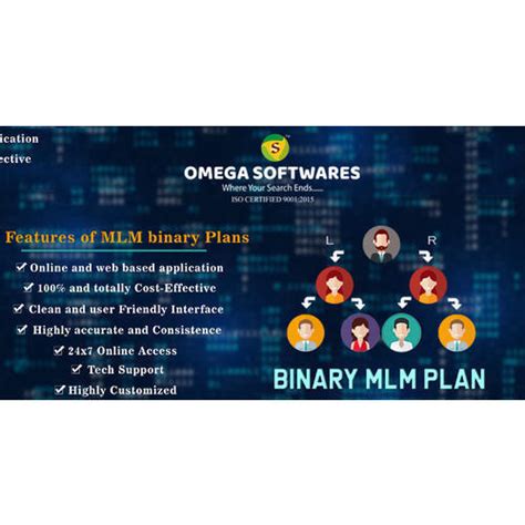 Binary Plan MLM Software Service In Pan India At Rs In Mumbai ID