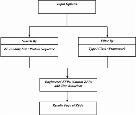 Workflow For Bind Predict DB Steps Involved In Retrieving The Records Download Scientific