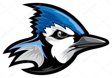 Blue Jay Stock Vector Image By ©slipfloat 21543657