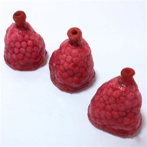 Fraser Ross Designs Set Of Seven Pulsating Synthetic Organs