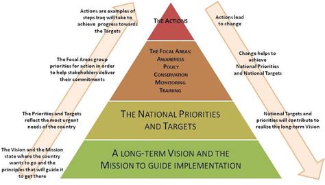 The Main Steps That Have Allowed Defining The Actions Of The Strategy