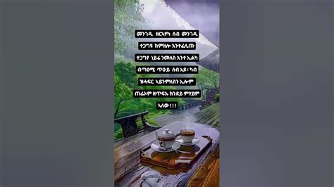 habesha eritrean eritreanmusic eritreancomedy eritreanews eritrea eritreanfilm