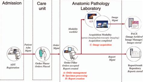The 4 Main Steps Of The Anatomic Pathology Workflow A Order Download Scientific Diagram The 4 Main Steps Of The Anatomic Pathology Workflow A Order Download Scientific Diagram