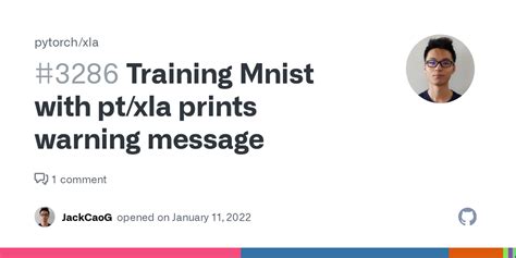 training mnist with pt xla prints warning message · issue 3286