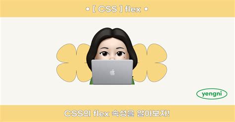 Css Flex
