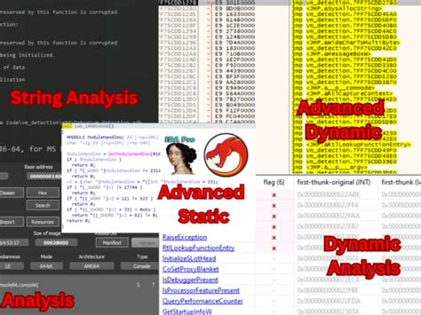 do digital forensics reverse engineering memory forensics disk