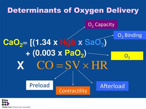 Ppt Oxygen Content Equation And Oxygen Transport Powerpoint