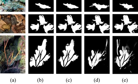 Sanyi Zhang Homepage