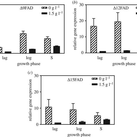 Relative Gene Expression In Response To Different Nitrate Download