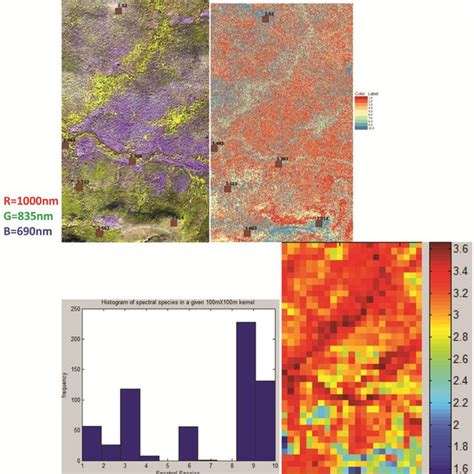 Pdf Characterization Of Species Diversity And Forest Health Using