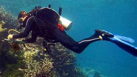 3d Mapping Coral Reefs Can Help Protect Them Cbc Radio