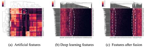 heat map of hierarchical clustering of different features download