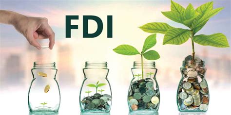 Difference Relationship Between FDI FPI FII Bank Insurance