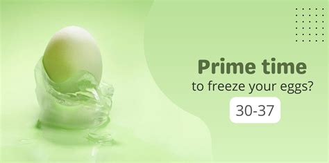 Egg Freezing Cost In Bangalore Affordable Fertility Preservation