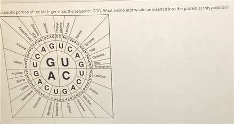 Solved Specific Portion Of The Mc1r Gene Has The Sequence