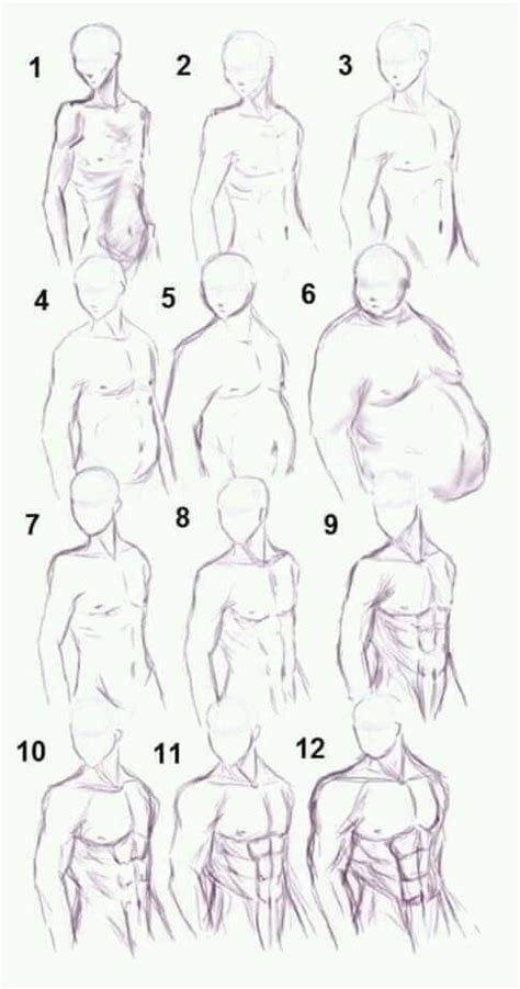 Bocetos De Anatomía ☆ Tipos De Corpo Masculino Anatomia Do Braço