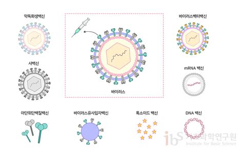 백신에 대하여 자세히 알고싶습니다 지식in
