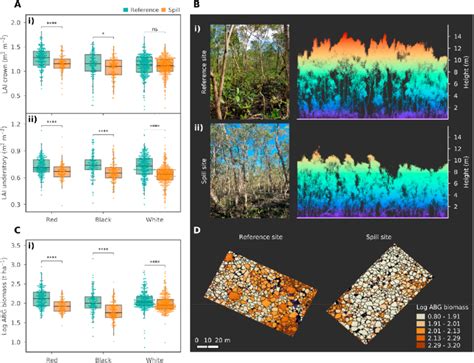 Lidar Highlights Oil Induced Alterations In Canopy Architecture And Download Scientific Diagram