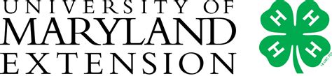 Agent Extension Jobs