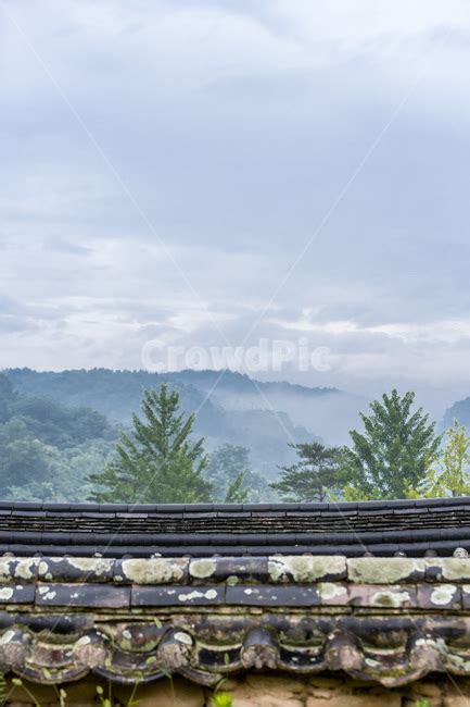 담장 기와 선 패턴 고택 사진 이미지 일러스트 캘리그라피 봉구58작가
