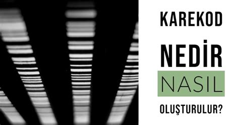 Audi Rs6 Logo Vector