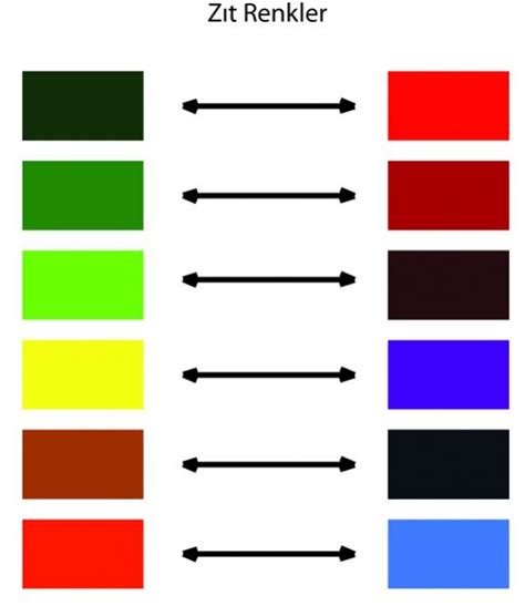 Zit Renkler Yelten Dallar Ortaokulu Ders Materyal Paylaşım Sitesi