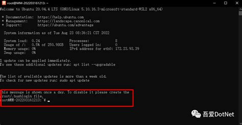 Windows 安装WSL 和Ubuntu的过程 董川民