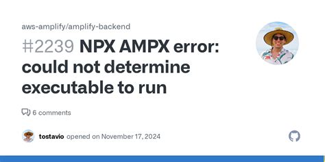 Npx Ampx Error Could Not Determine Executable To Run · Issue 2239