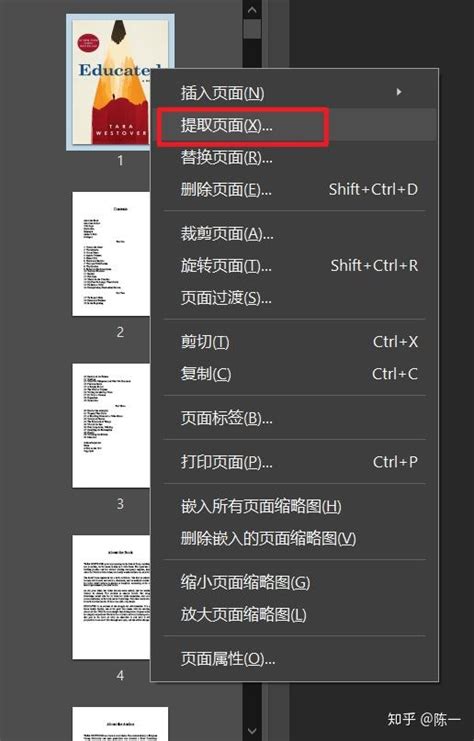 PDF 深色模式化 知乎