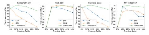 Optimizing Compute Intensive Models Using Model Pruning By Suryakiran