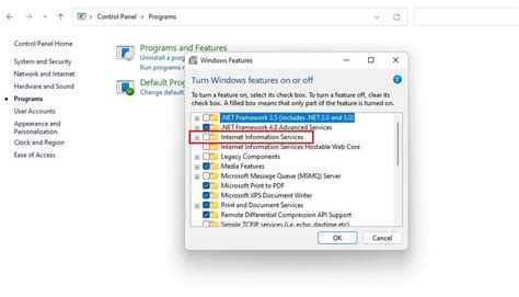 what is microsoft iis web server software