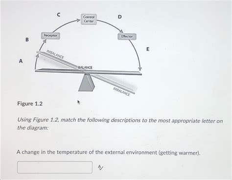 Solved Figure 1 2using Figure 1 2 ﻿match The Following