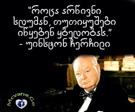 ბრძნული გამონათქვამები