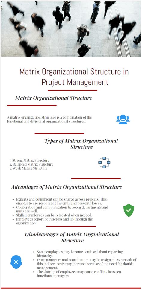 Matrix Organizational Structure In Project Management Projectcubicle