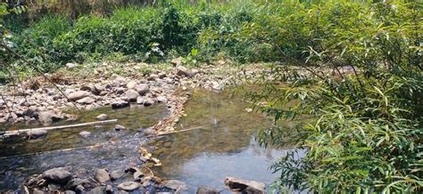 เสนอขายที่ดินติดคลองน้ำไหลตลอดแนว เป็นสวนผลไม้ มังคุด ทุเรียน เนื้อที่ 40 ไร่ ตำบลทับไทร อำเภอ