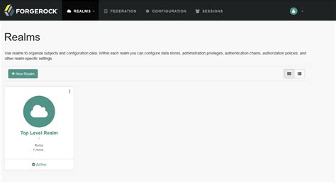 forgerock integration with payara server part 2 access deploy and test
