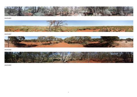 Tern Ecosystem Surveillance Plots Roy Hill Station Pdf