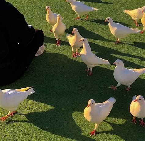 氛围感背景图 堆糖，美图壁纸兴趣社区