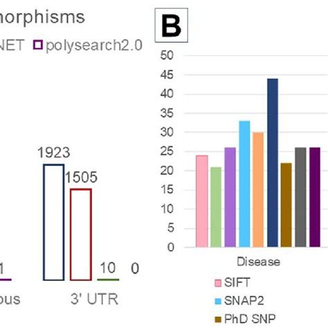 A Distribution Of Synonymous Non Synonymous And Non Coding SNP Using Download Scientific