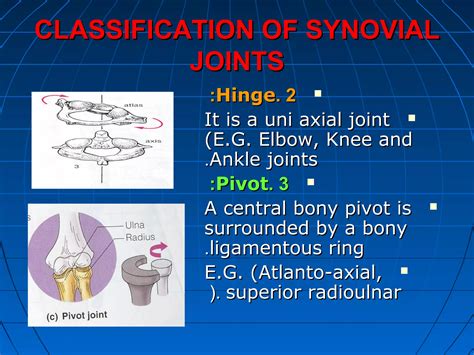 Joints Anatomy Ppt