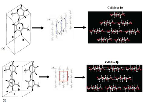 Schematic Representation Of The Unit Cells For Cellulose Structures I α