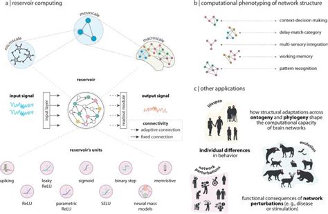 Connectome Based Reservoir Computing With The Conn2res Toolbox Nature Communications Sergei