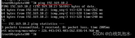 如何搭建可正常使用的centos7系统虚拟机节点 白桃気泡水 的博客 csdn博客