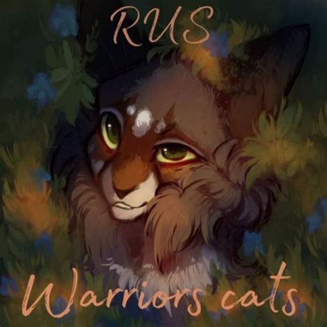 About | •° Коты-Воители •° Amino