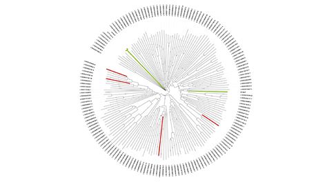 Metagenome Mining And Functional Analysis Reveal Oxidized Guanine Dna