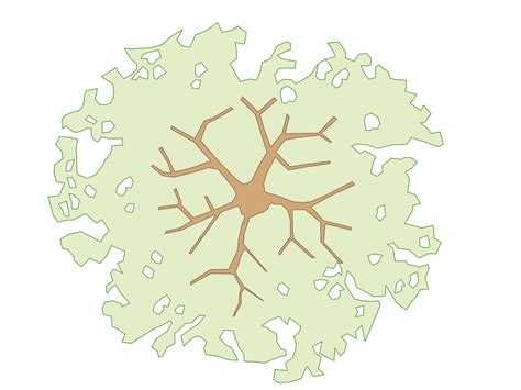 Tree In AutoCAD CAD Download 67 57 KB Bibliocad