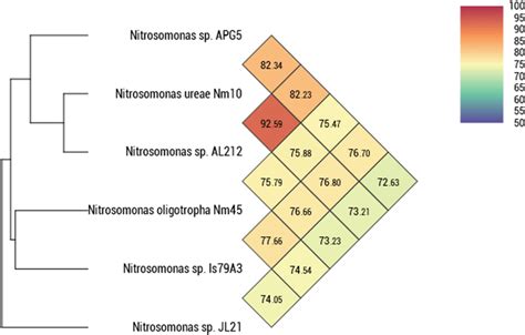 Heatmap Distance Matrix With Upgma Dendrograms Of Orthologous Average Download Scientific