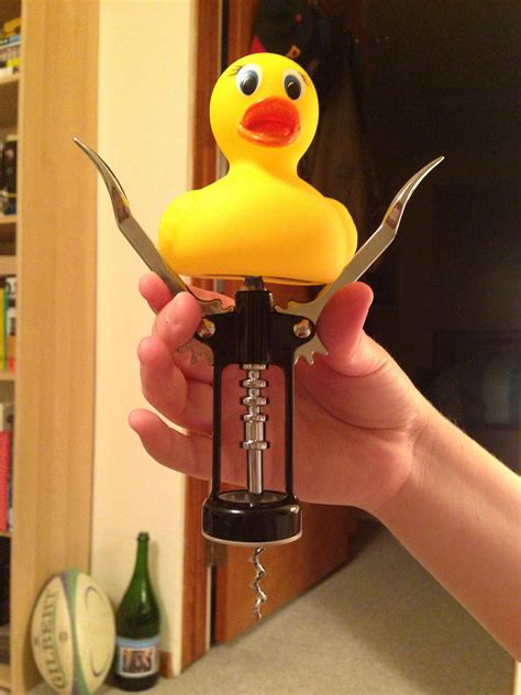 My One Friend Likes How Ducks Have A Corckscrew Penis And Its Her Birthday So We Made Her A