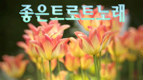 광고없는 신나는 트로트 메들리 2시간 💚 유튜브 최고에 명곡모음💚트로트 매들리 💚 트로트 모음 100 Youtube